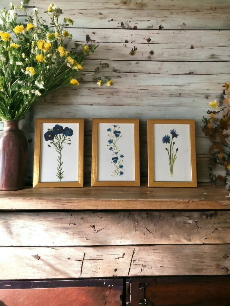 Wall Frames - The Home Cubicle